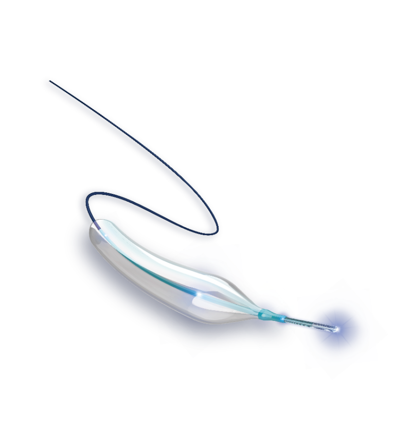 HP PTA Balloon Dilatation Catheter - Your Solution for Peripheral ...